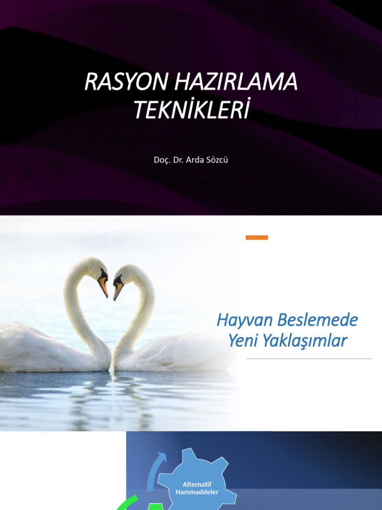 1 Hafta | PDF