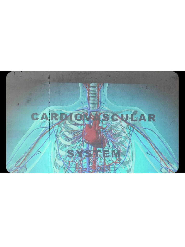 cardiovascular-system | PDF