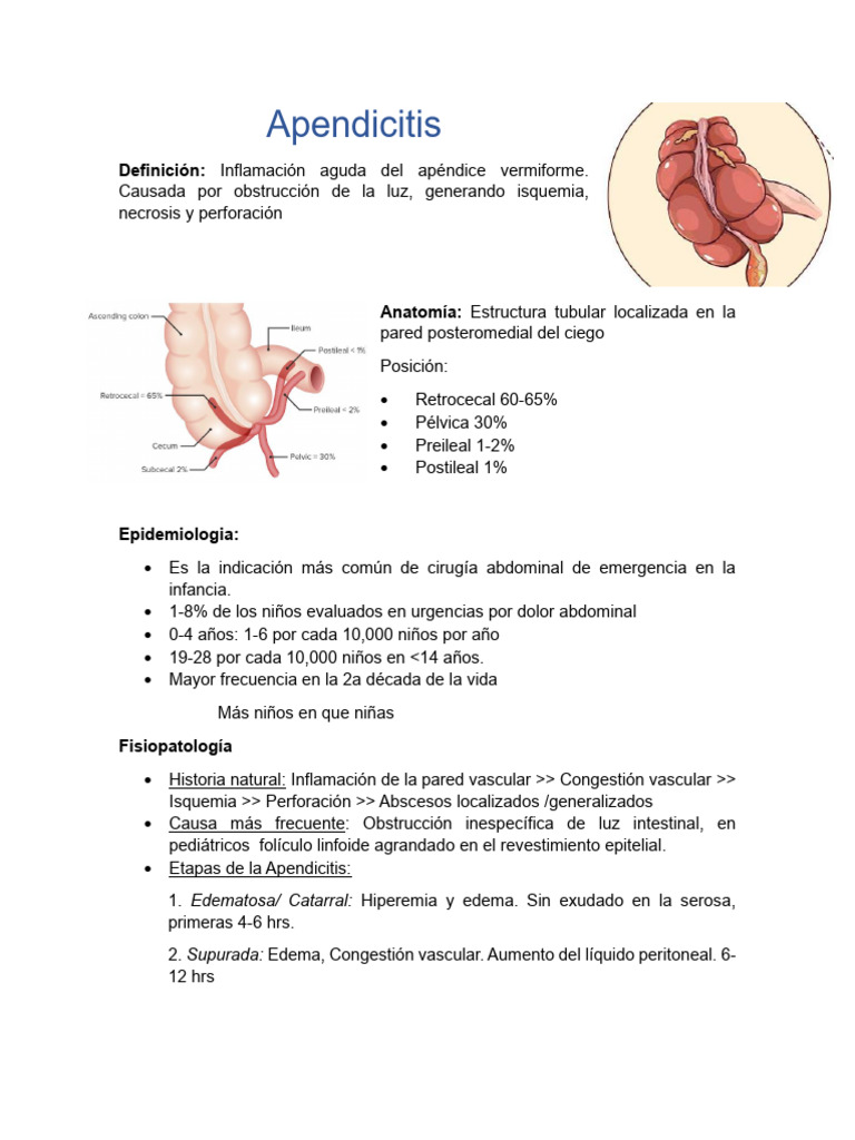 Apendicitis | PDF | Especialidades Medicas | Enfermedades y trastornos
