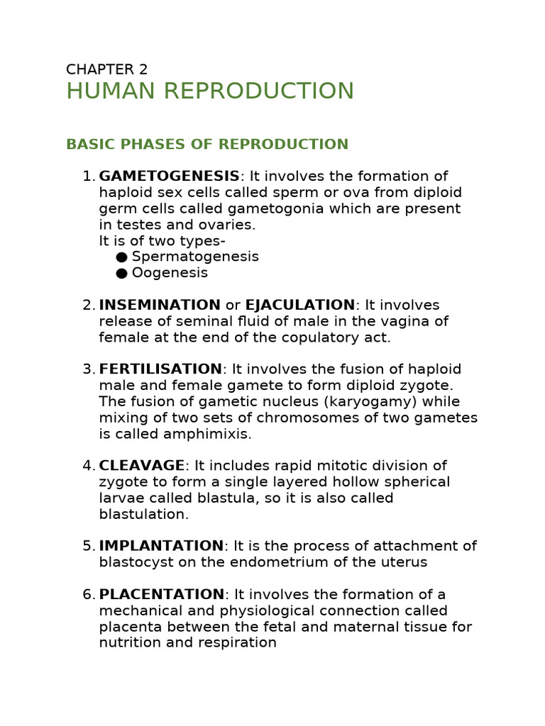 HUMAN REPRODUCTION-1 | PDF | Meiosis | Testicle