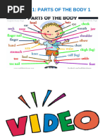 Latin Body Parts Glossary | PDF | Human Anatomy | Primate Anatomy