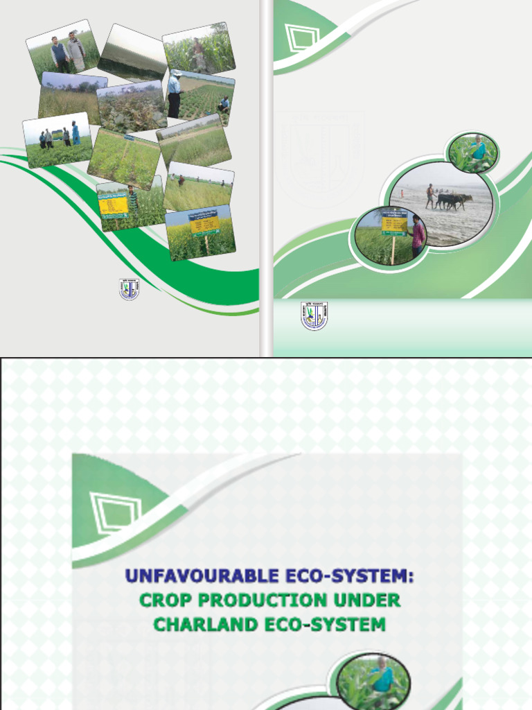 Charland Final | PDF | Legume | Agriculture
