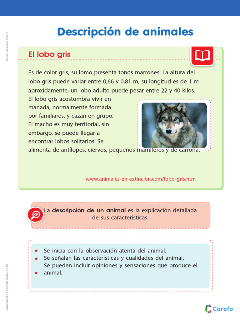 LÁMINA - Descripción de Animales | PDF