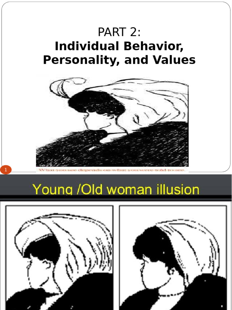 2 Individual Behavior, Personality Values | PDF | Extraversion And ...