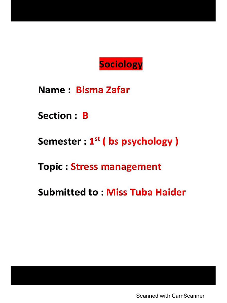 Bisma Zafar (Project) | PDF