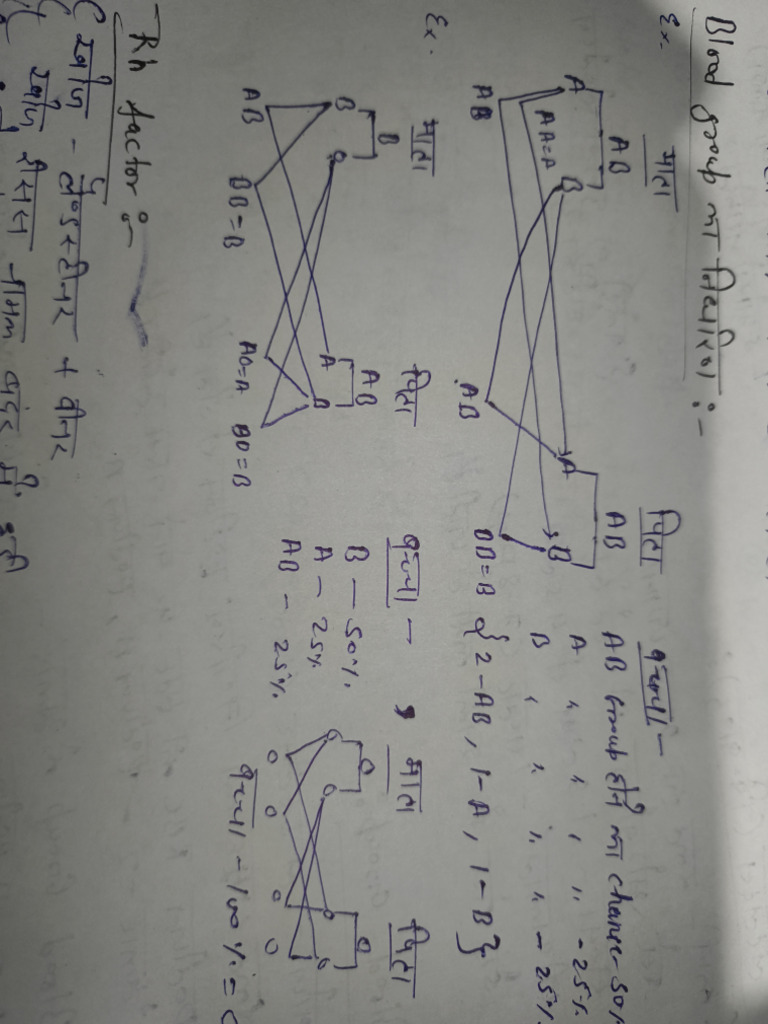 Blood Group | PDF