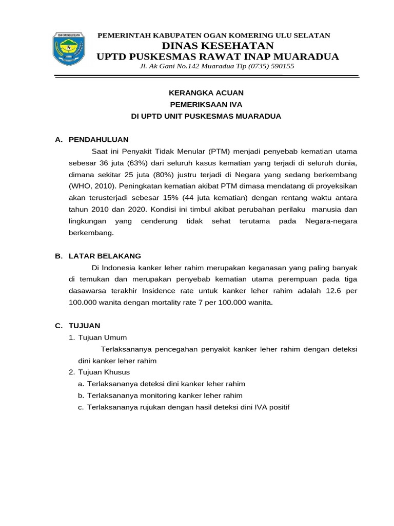 Kak Pemeriksaan Iva | PDF