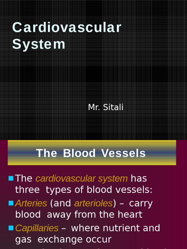 Overview of the Cardiovascular System | PDF | Heart Valve | Heart