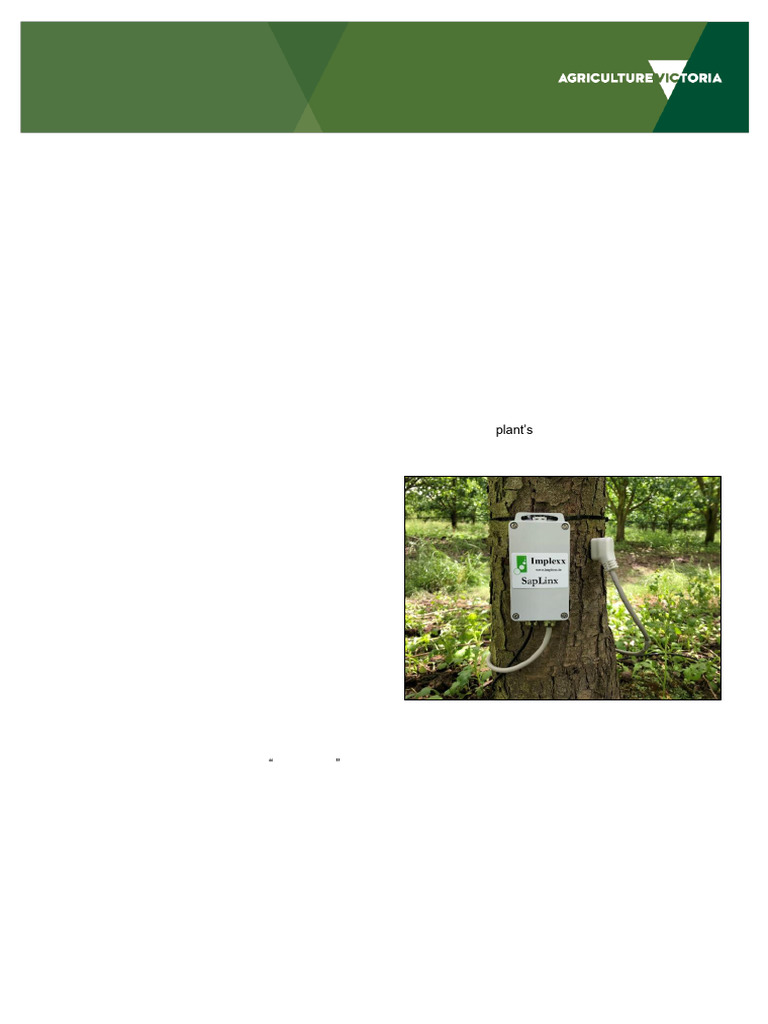 Plant Based Sensors For Irrigation | PDF | Stoma | Earth Sciences