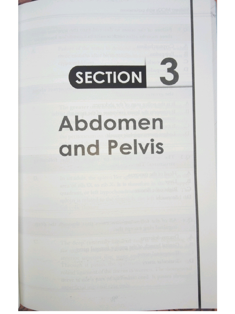 Abdomen & Pelvis Syed Meesam Vol2 | PDF