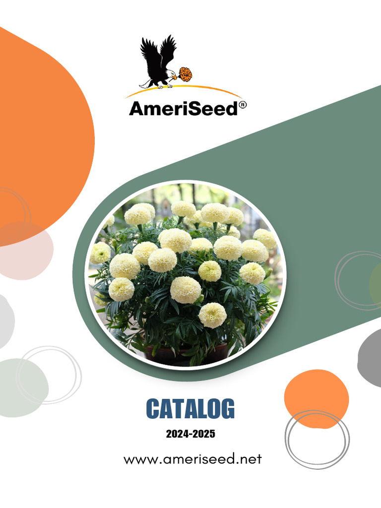 Ameri Seed Catalog Std PDF 3 | PDF | Flowers | Plants