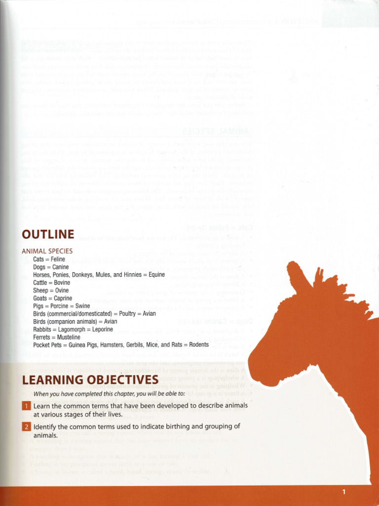 Getting To Know Your Patients | PDF