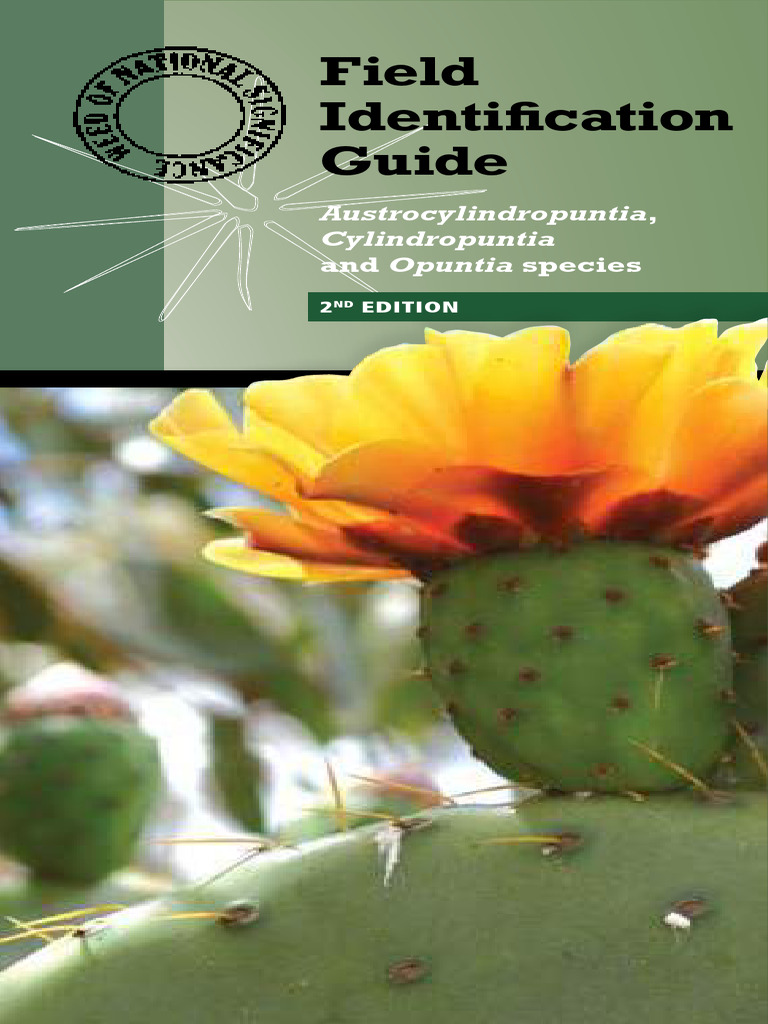 Invasive Cacti Identification Guide | PDF | Plants | Branches Of Botany