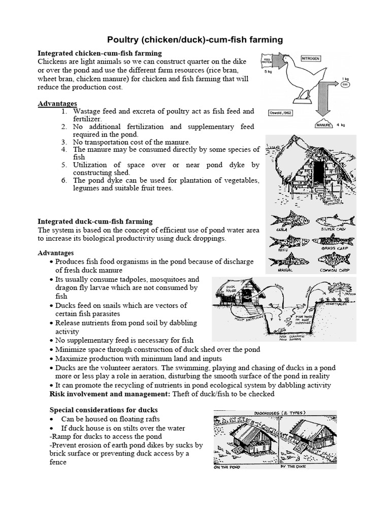 2.1 Poultry Cum Fish | PDF | Pond | Manure