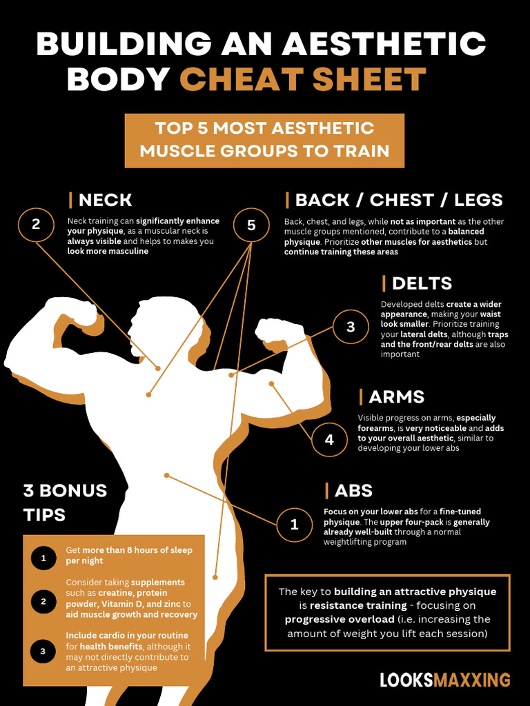 building-an-aesthetic-body-cheat-sheet | PDF | Strength Training ...