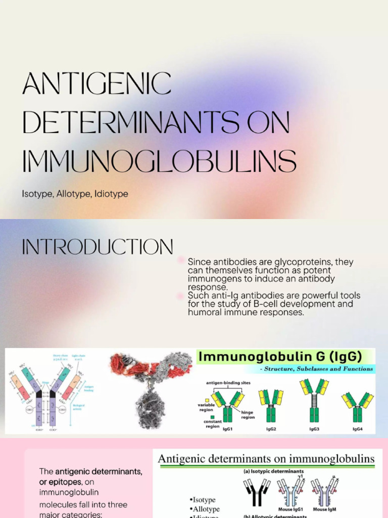 Antibody Determinants Iso, Allo, Idio | PDF