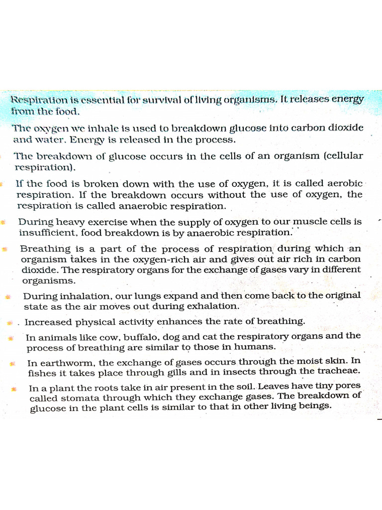 Class 7 Science Ch6 summary and exercise | PDF
