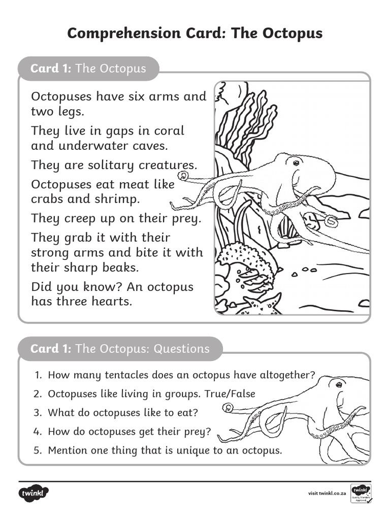 Comprehension Card The Octopus BW | PDF