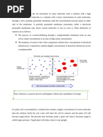 Potato Osmosis Experiment Guide | PDF | Osmosis
