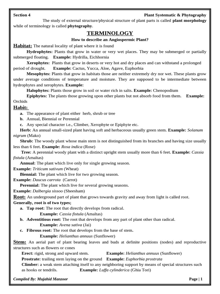 Plant Systematics & Phytography-1 | PDF | Leaf | Petal