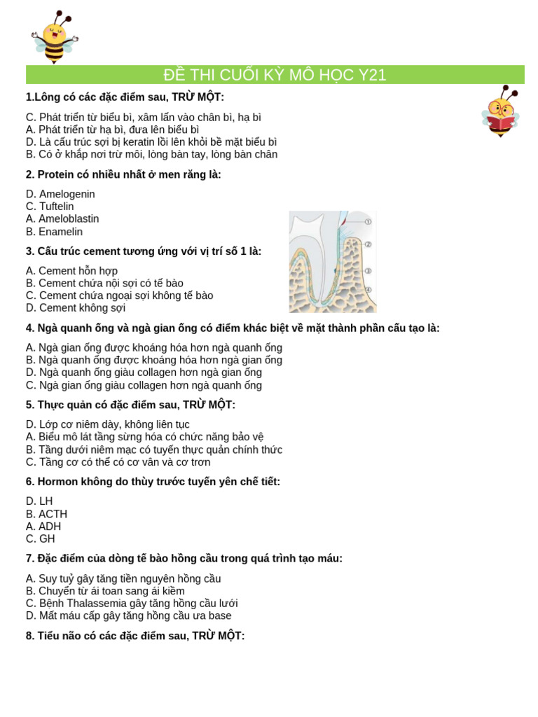 Cuoi Ky Mo Hoc Y21 | PDF