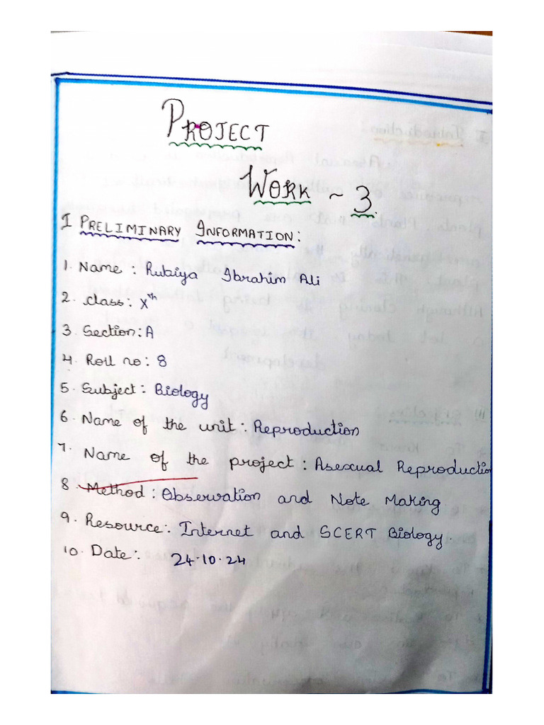 Fa3 Project Work | PDF