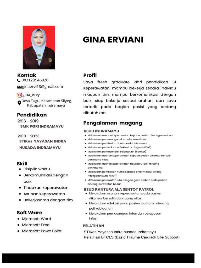 CV Gina Erviani 2024 | PDF