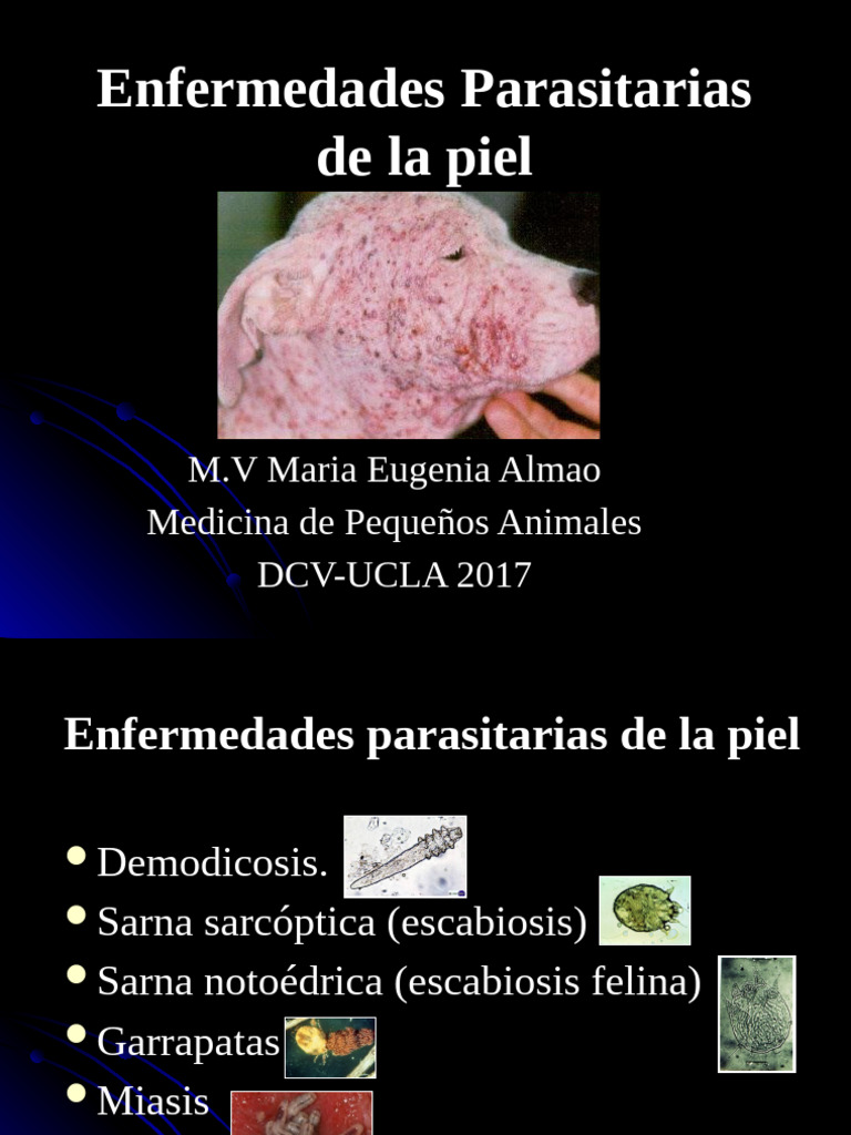 Enfermedades Parasitarias de La Piel (1) .Maru | PDF | Medicina CLINICA | Enfermedades y trastornos