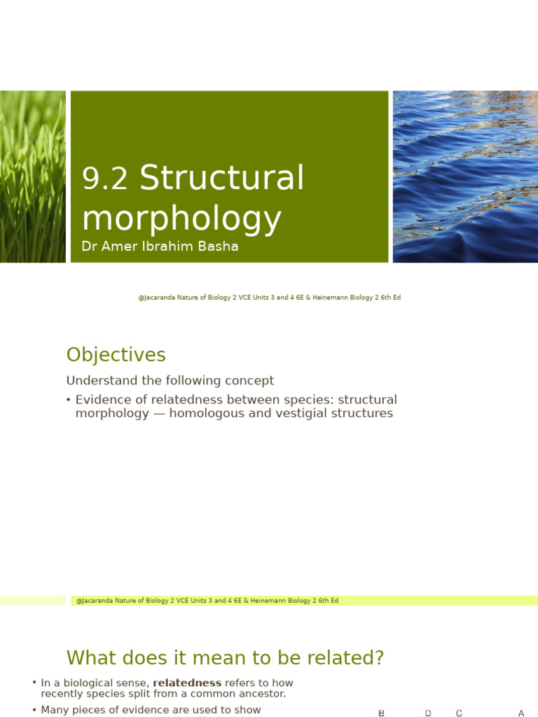 Morphology as Evolution Evidence | PDF | Homology (Biology ...