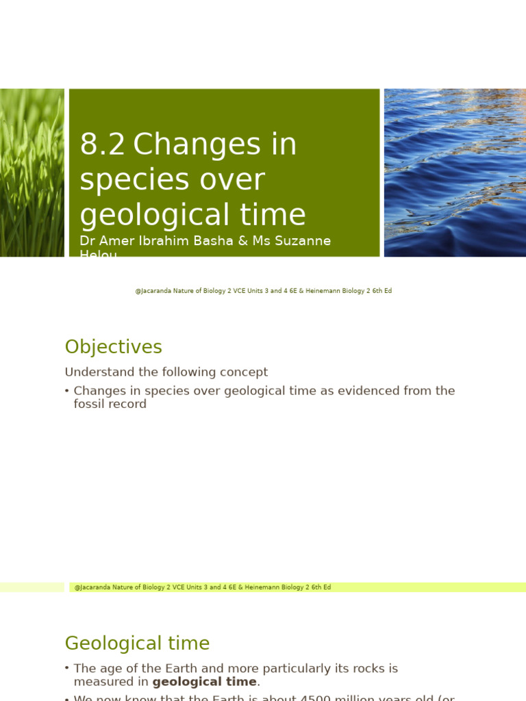 8.2 Changes in Species Over Geological Time | PDF | Fossil | Geologic ...