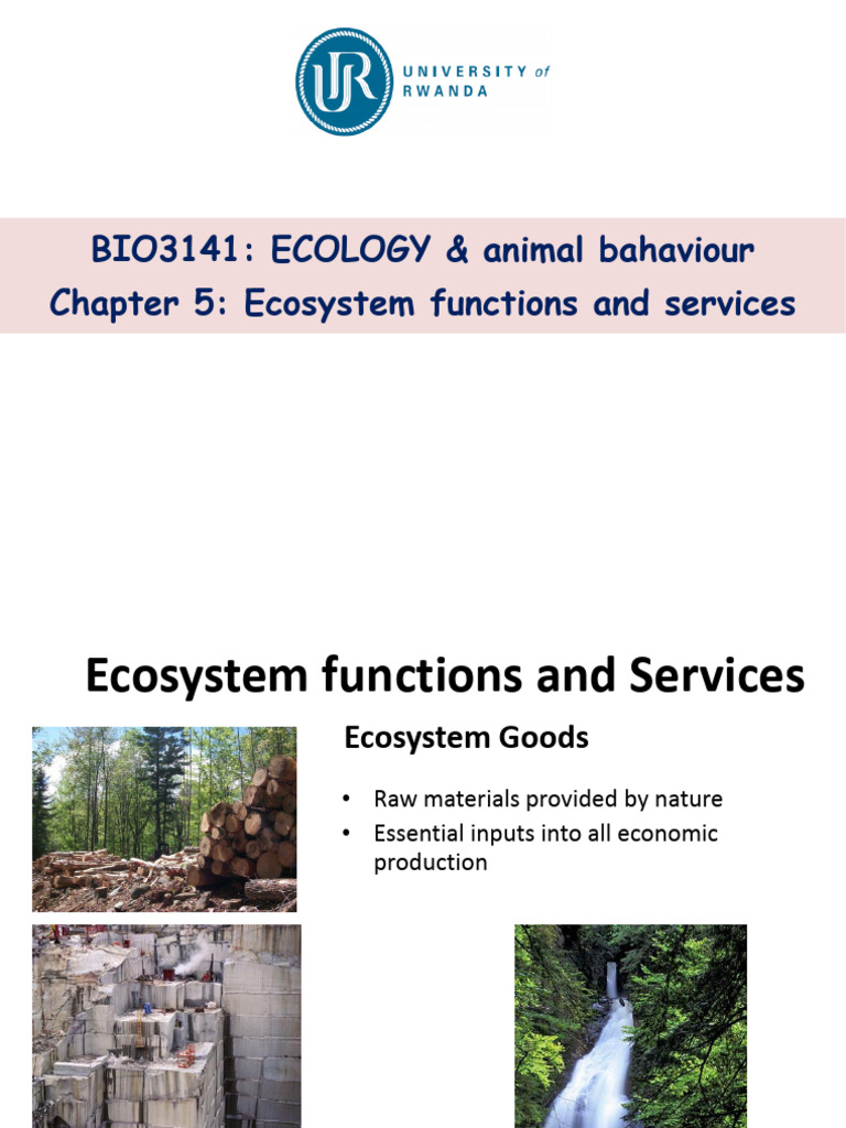 BIO3141 - Lect 5 - Ecosyst Function and Services-2 | PDF | Ecosystem ...