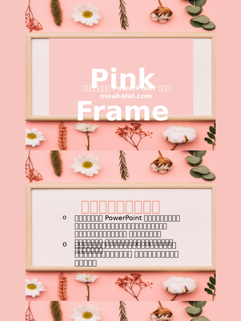 Pink Frame | PDF
