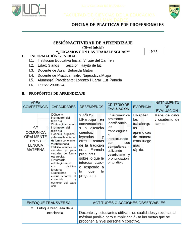 Sesion Inicial 5 COMPLETO Adivinanzas | PDF | Evaluación | Aprendizaje