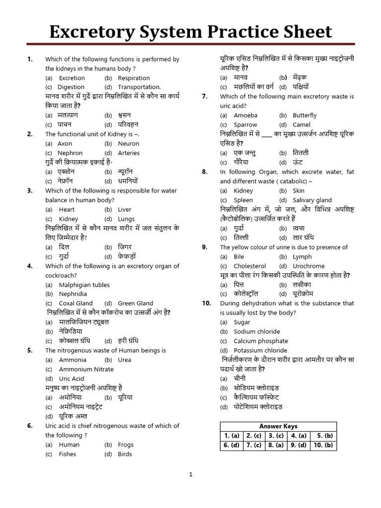 212 Biology Excretory System Excretory System Practice Shee | PDF