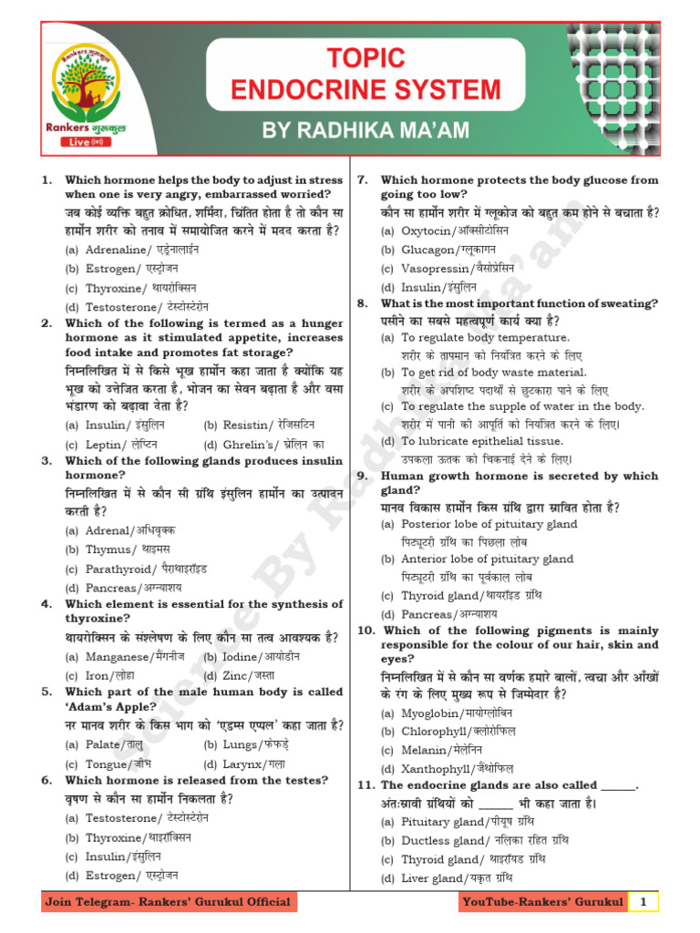 221 Biology Endocrine System Endocrine System Practice Shee | PDF ...