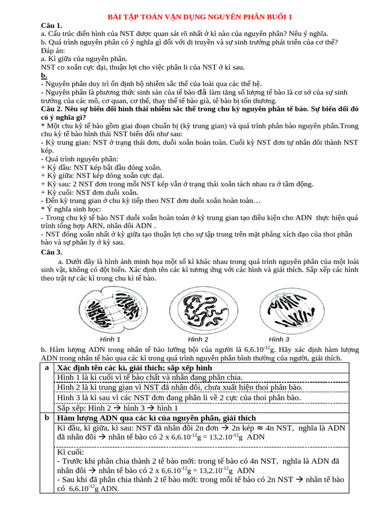 BÀI TẬP TOÁN NGUYÊN PHÂN HS | PDF