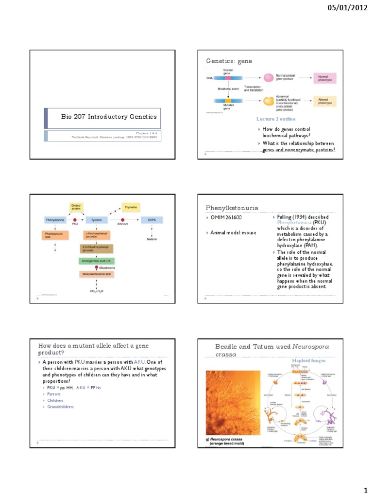 Bio 207 Introductory Genetics | PDF | Genetics | Gene