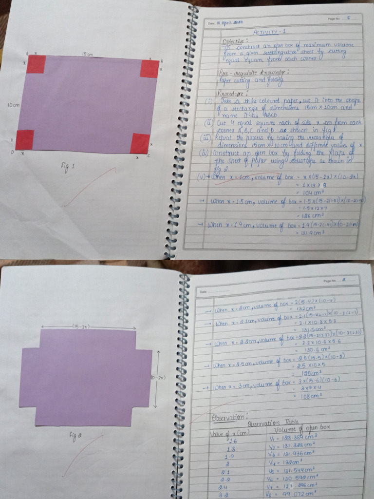 Maths activity file XII | PDF