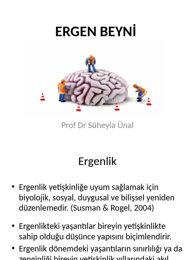 Ergen Bey Nir | PDF