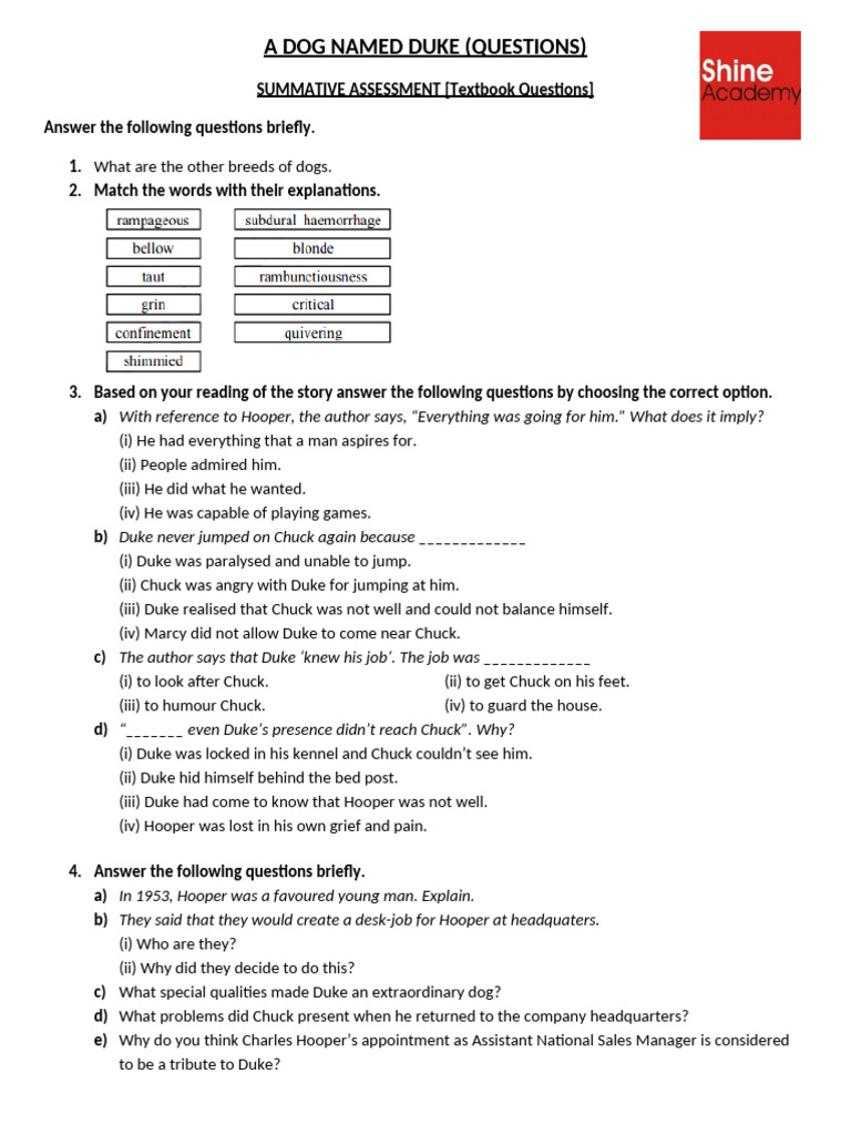 A Dog Named Duke Questions | PDF