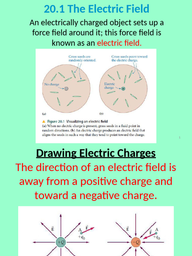 20.1 The Electric Field | PDF