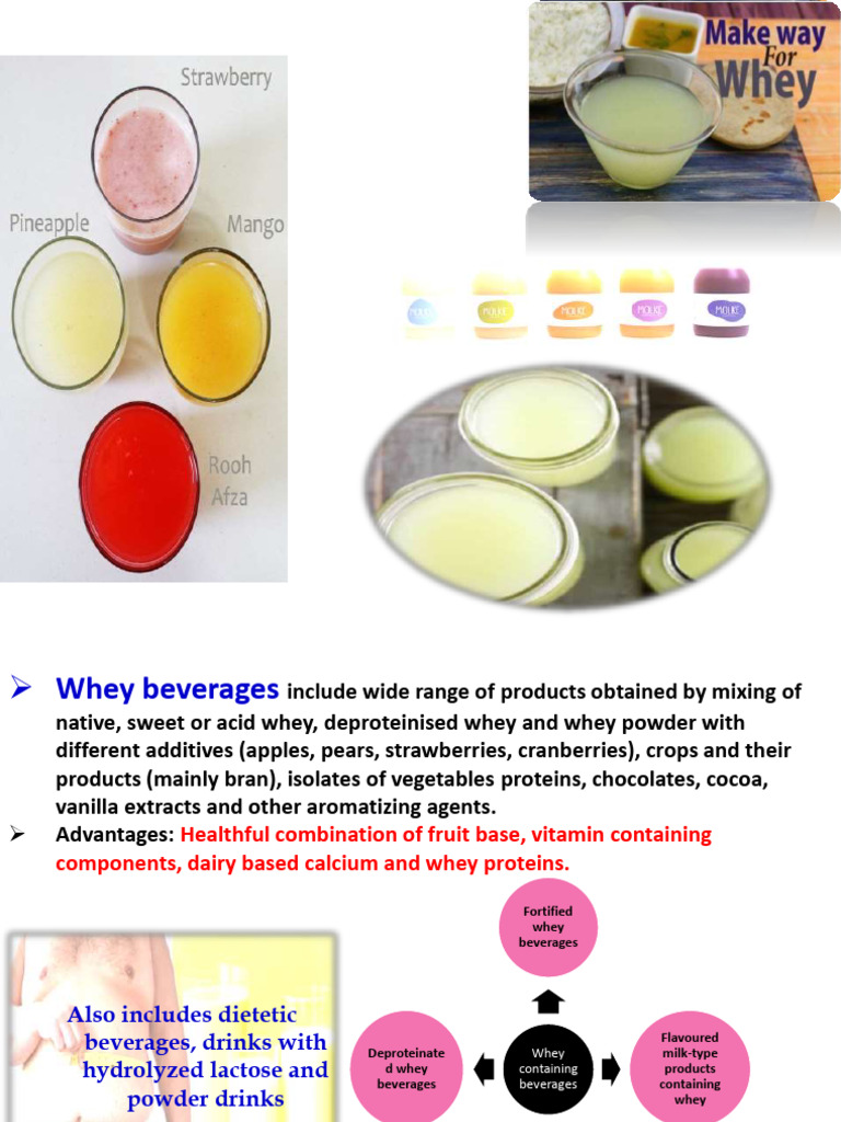 Whey Processing Fermented Products and Beverages From Whey | PDF ...