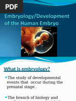 Pathophysiology of NSD | PDF | Social Science