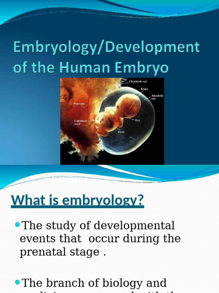 Introduction To Embryology-1 | PDF | Developmental Biology | Morphology (Biology)