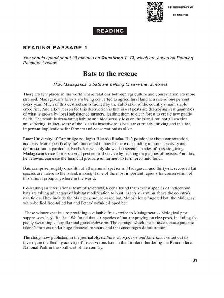 Reading Practice | PDF