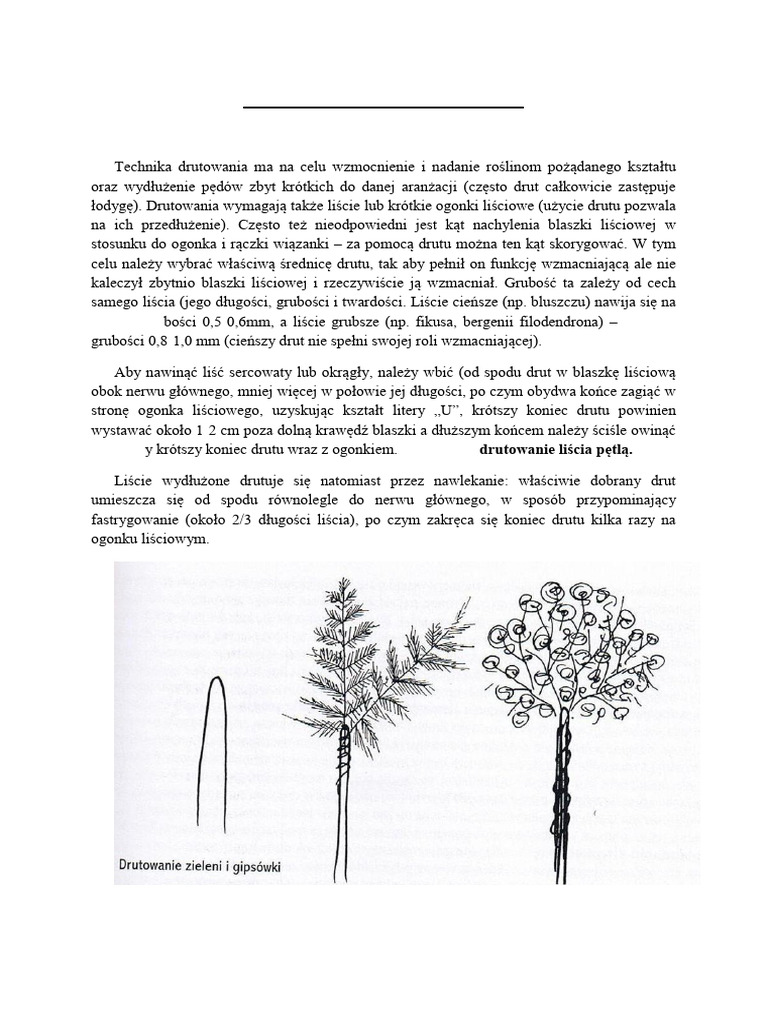 Techniki Florystyczne | PDF