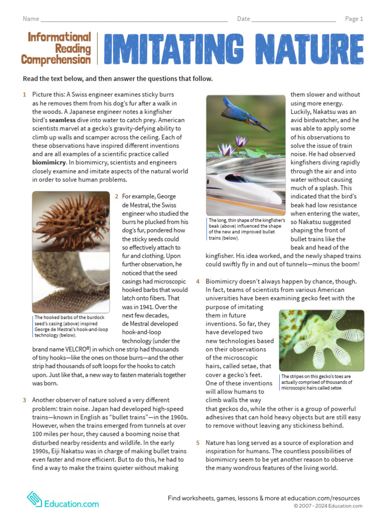 Informational Reading Comprehension Imitating Nature | PDF