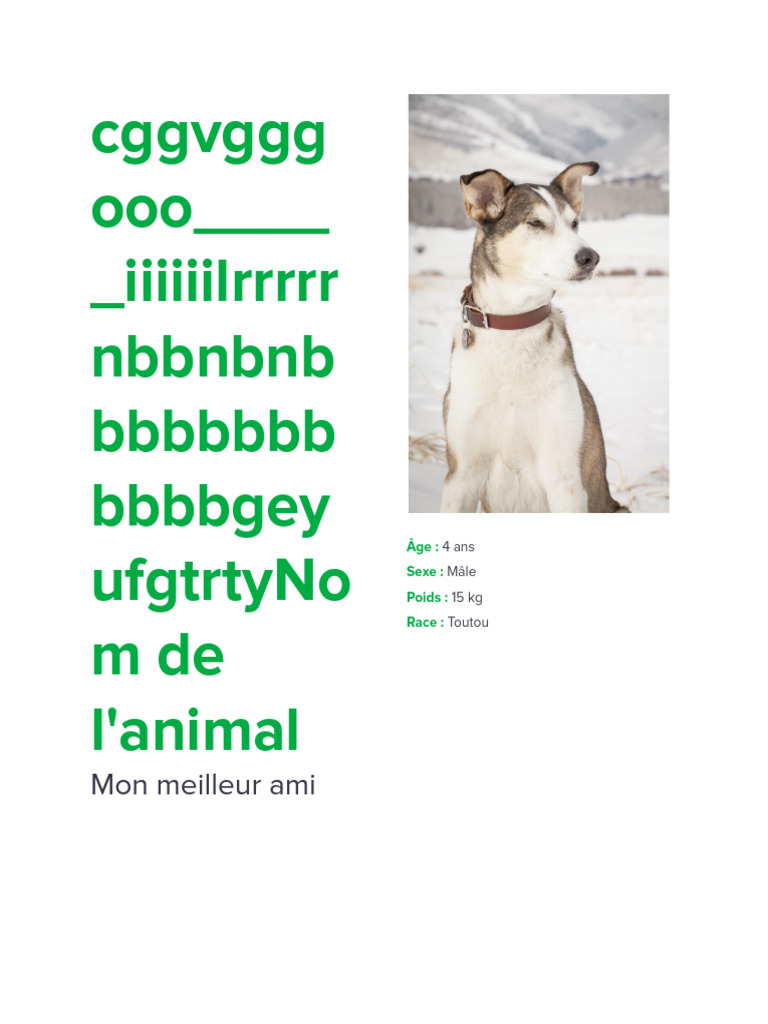 Fiche Animal | PDF