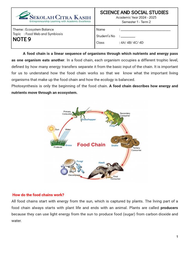 Note 9 Food Web and Symbiosis (2) | PDF | Food Web | Foods