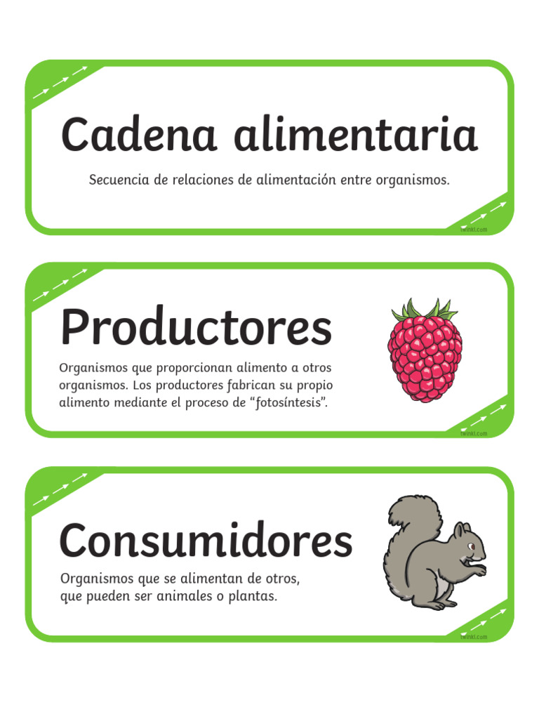 CL CN 1696704158 Tarjetas de Vocabulario Cadenas Alimentarias - Ver - 1 ...